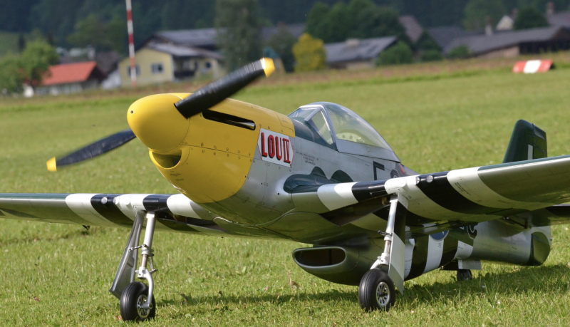 P-51 Mustang 1:4.3