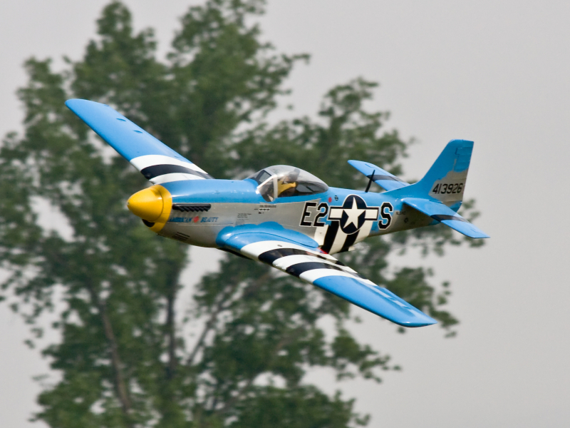 P-51 Mustang 1:4.3