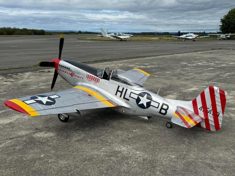 P-51 Mustang 1:4.3