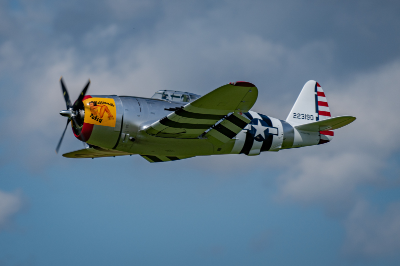 P-47 Thunderbolt "Razorback" 1:4.5