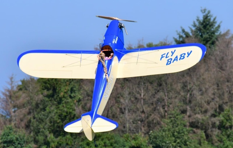 Bowers Fly Baby 1:2