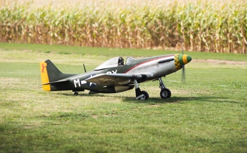 P-51 Mustang 1:4.3
